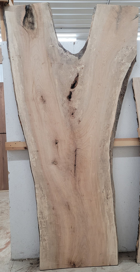 Live Edge Slabs – Page 2
