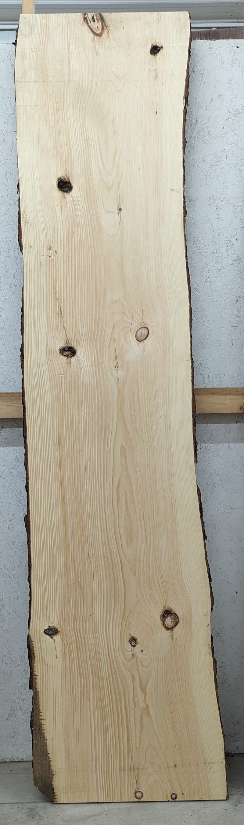 Live Edge Slabs – Page 2